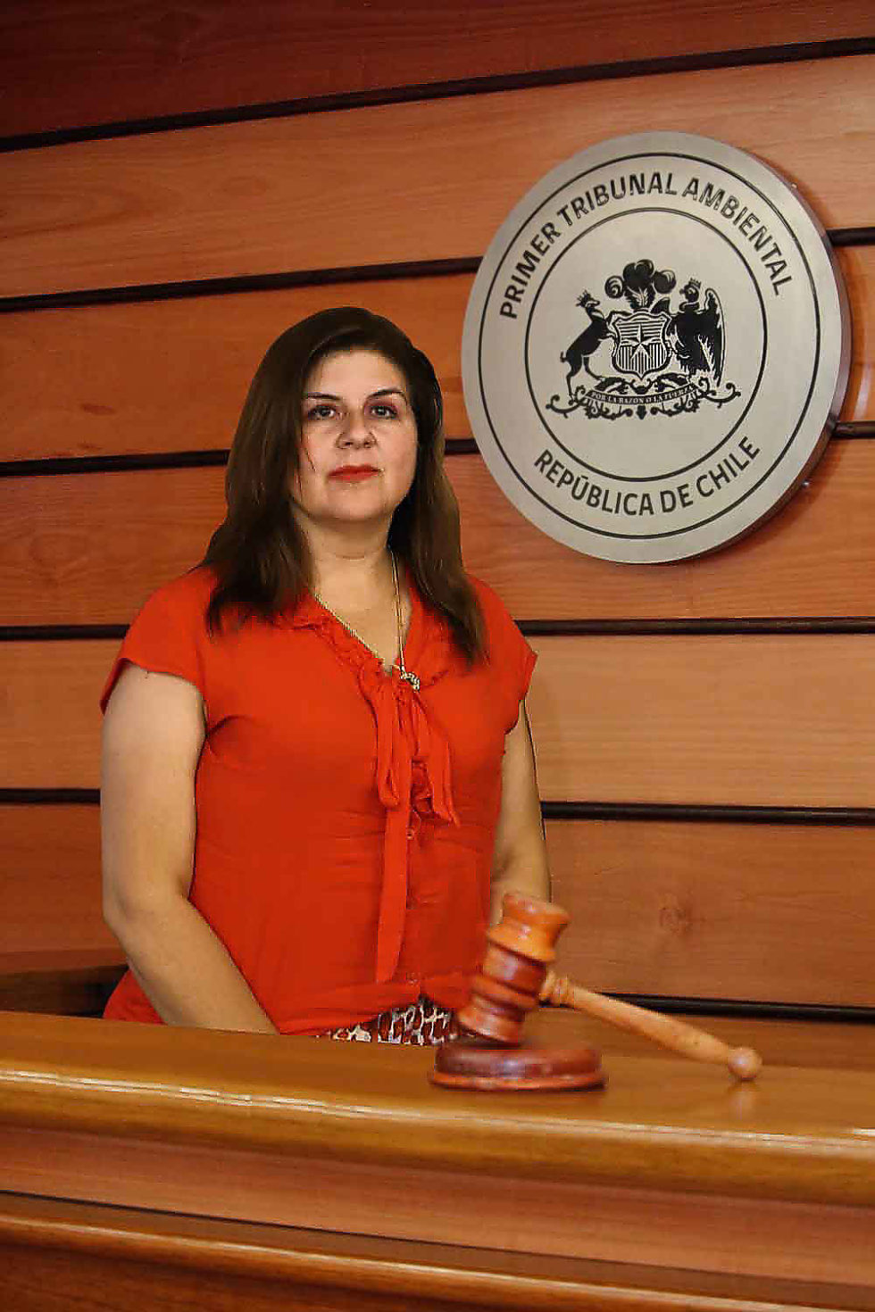 Equipo | Primer Tribunal Ambiental